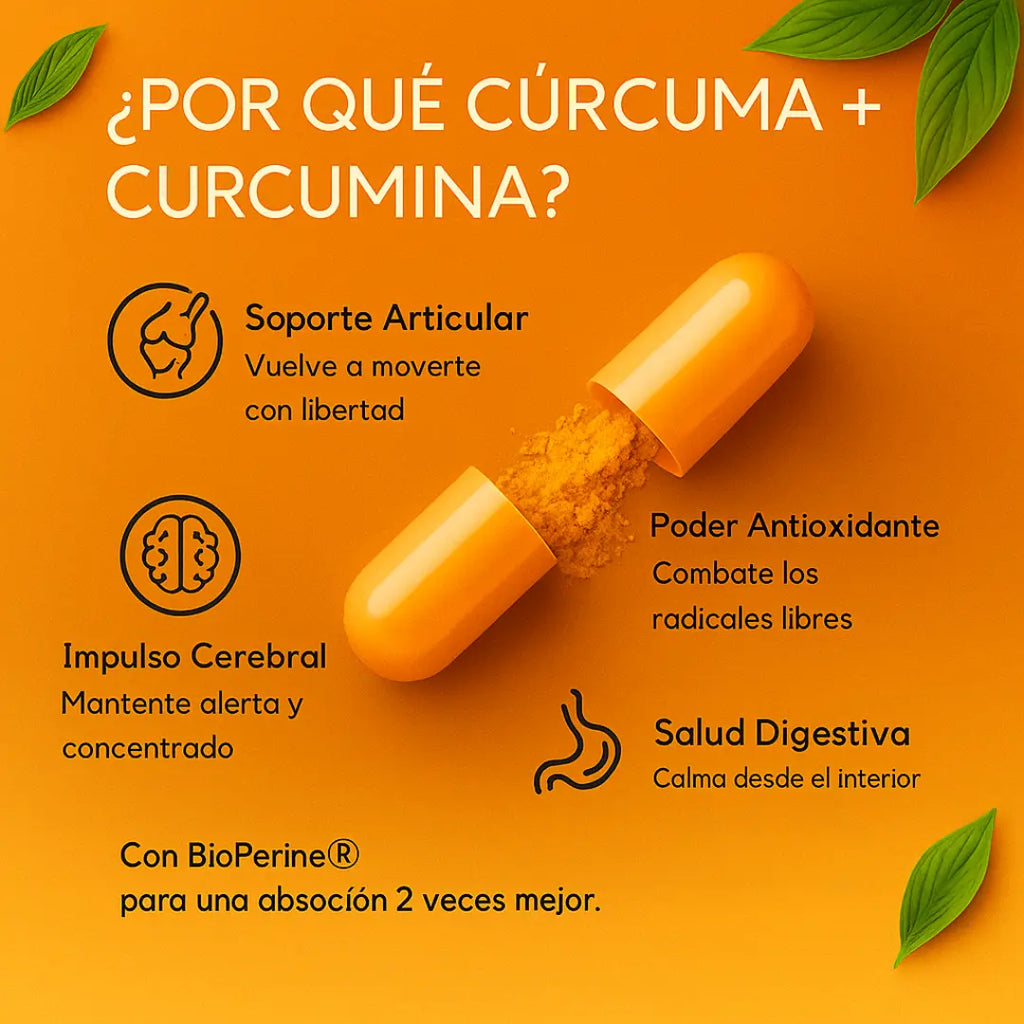 TURMERIC CURCUMIN – nizuchile
